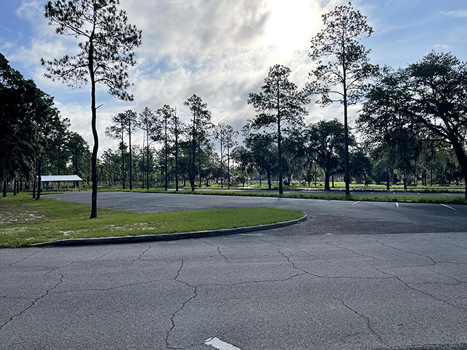 The road less traveled, with plenty of parking. Robert Frost would approve of this poetic blend of accessibility and wilderness.