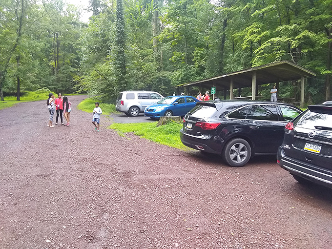 The humble parking area serves as the gateway between everyday life and wilderness escape. Your adventure begins where the pavement ends.