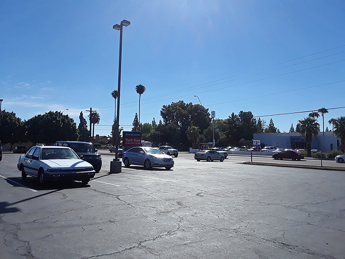 The parking lot&mdash;where empty trunks arrive and full trunks depart. The before-and-after scene of thrift store magic.