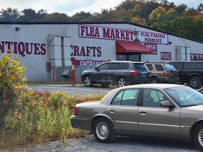 The outdoor market experience brings vendors under blue tents, where sunshine adds sparkle to treasures that couldn't fit indoors.