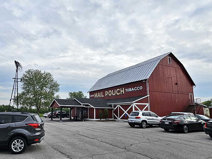 Not just a parking lot&mdash;it's where the anticipation begins. Each car represents someone about to have a very good meal.