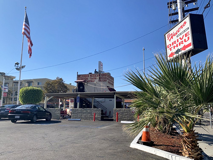The parking lot&mdash;hallowed ground where anticipation builds. Each space represents someone making an excellent life decision today.