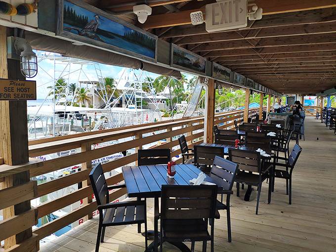 Outdoor seating with a view that reminds you why you came to the Keys in the first place. Salt air improves appetite, scientifically speaking.