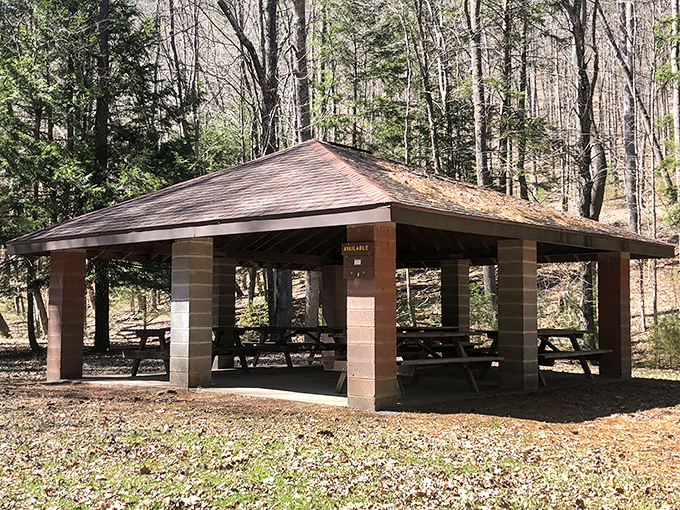This picnic pavilion has witnessed more family reunions, birthday cakes, and "remember when" stories than a holiday dinner table.