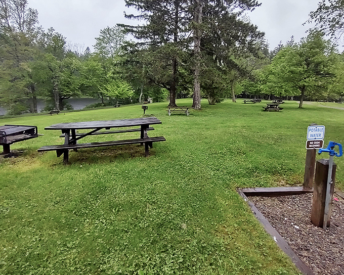 Picnic perfection awaits with tables strategically placed for optimal nature-gazing. Just BYO sandwiches and leave room for serenity.