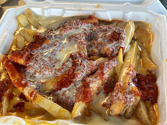 Cheese fries that defy gravity and good sense. A magnificent mess of potatoes, sauce, and melted cheese that demands to be devoured immediately.