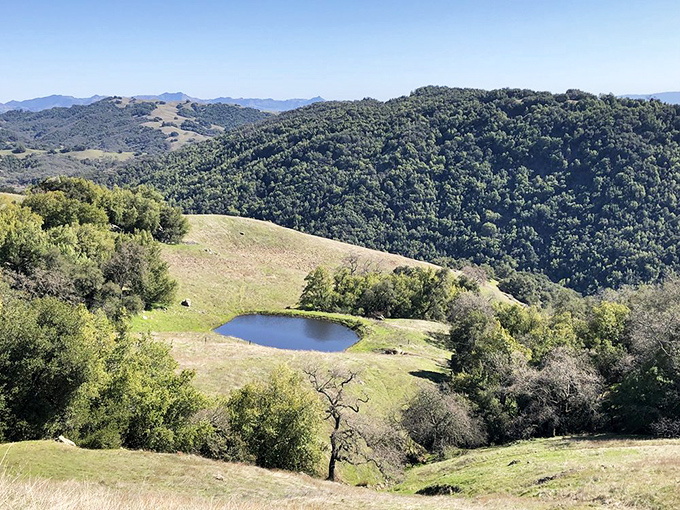 A perfect pond mirrors the surrounding hills, nature's own infinity pool without the resort prices or cocktail service.