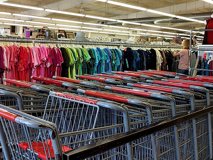 The shopping cart brigade stands ready for action. These red-handled chariots have carried countless treasures to new homes.