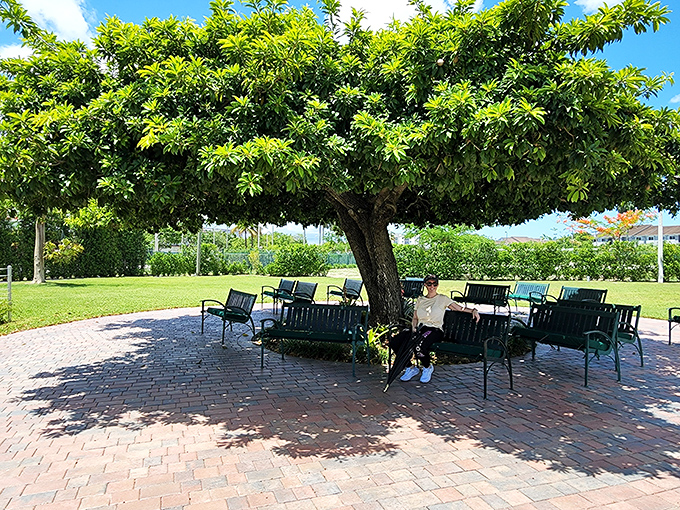 A shady respite under a sprawling tree. Even visitors from decades past knew the value of Florida's natural air conditioning.