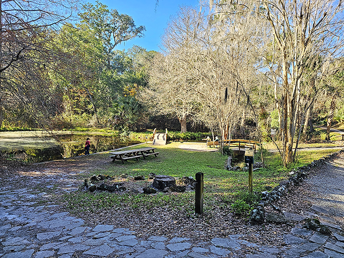 A peaceful picnic area nestled in the ravine, where sandwiches somehow taste better and conversation flows easier than at any fancy restaurant.