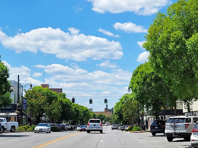 Broad Street's canopy of trees offers dappled shade for summer strolls, turning even a simple walk into a refreshing escape.