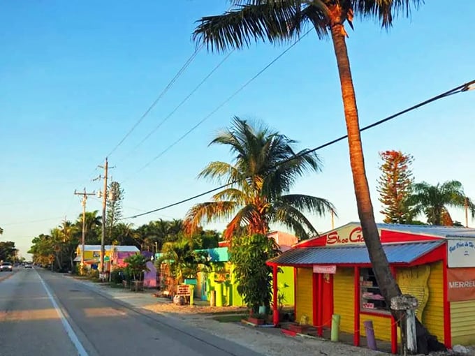 Golden hour transforms Matlacha's colorful streetscape into something that belongs in an art gallery. The palm trees are just showing off.