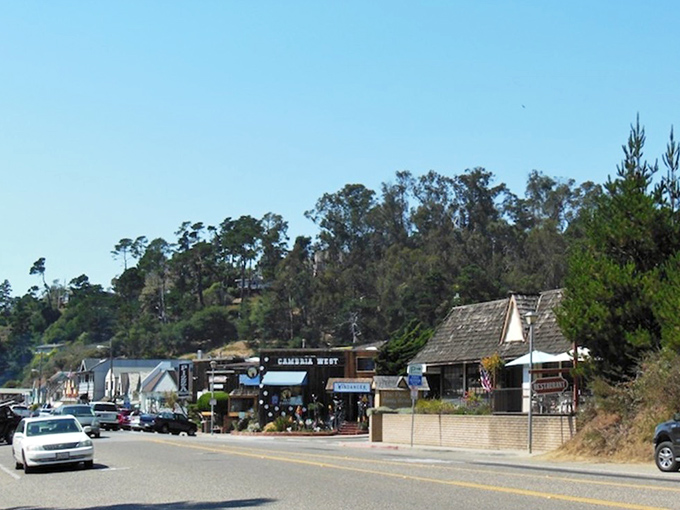 Coastal highways reveal hidden gems where every turn promises new adventures and Instagram-worthy moments await discovery.