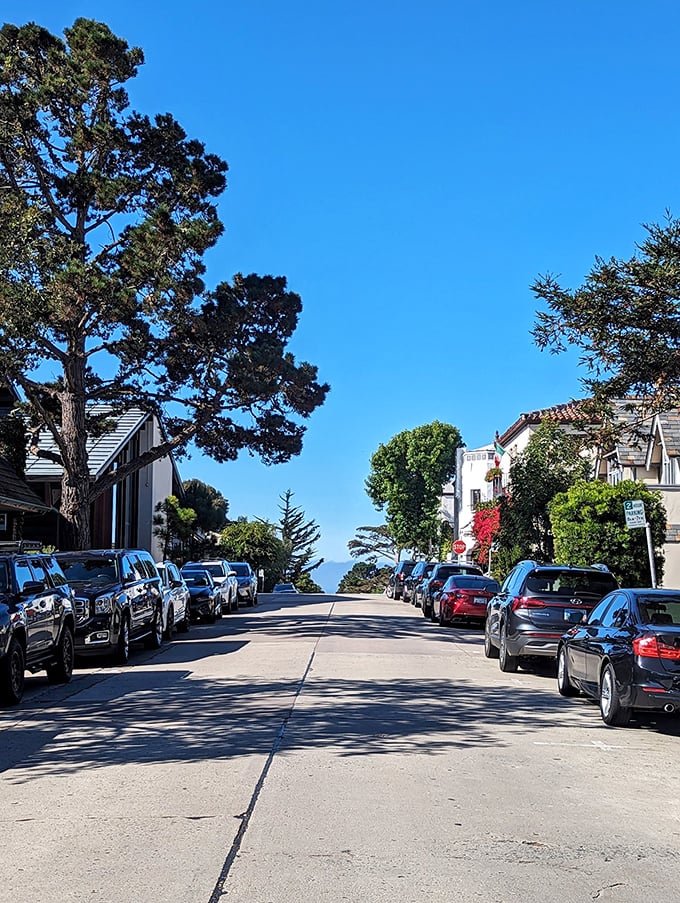Tree-lined streets slope gently toward the ocean, creating picture-perfect views at every turn.