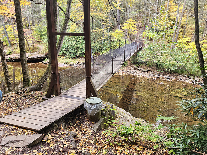 The suspended footbridge sways just enough to remind you you're alive, while offering views that make you glad you are. Nature's version of a mild thrill ride.