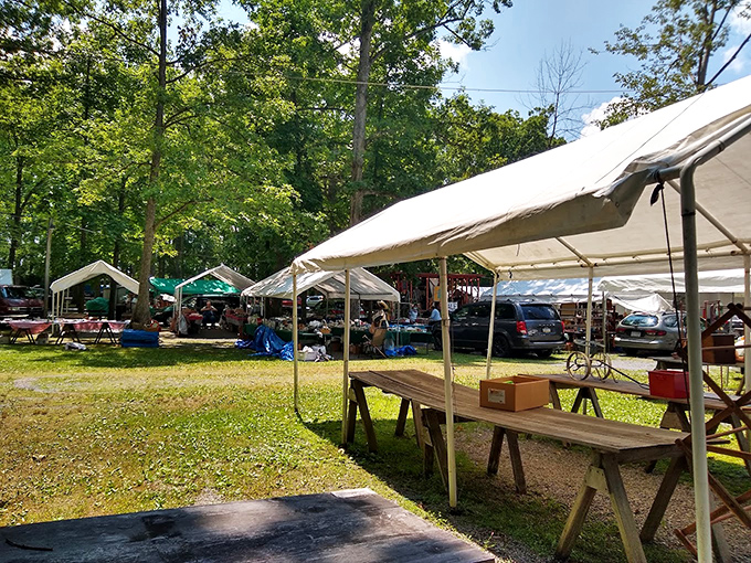 Market day under summer skies. White tents bloom like mushrooms after rain, sheltering treasures from both sun and passing showers.