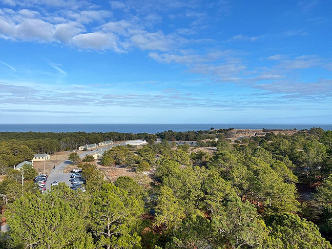 The bird's-eye reward for those who climb the observation tower. Fort Miles' strategic importance becomes immediately clear from this vantage point.