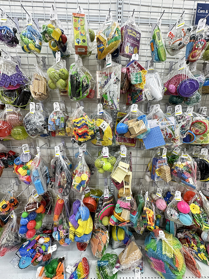 Bagged toy treasures hang like colorful pi&ntilde;atas, each plastic package a surprise party of potential playthings at pennies on the dollar.