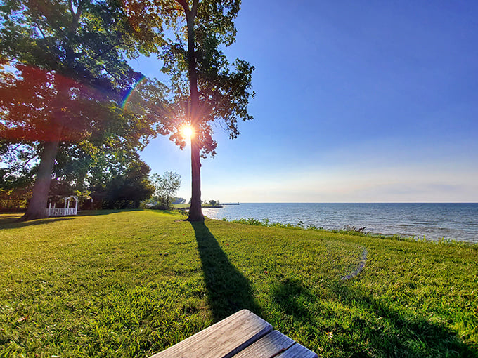 Golden hour perfection &ndash; when the sun plays hide-and-seek through the trees and Lake Erie sparkles like it's showing off just for you.