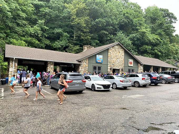 Enthusiastic guides illuminate both the caverns and visitors' imaginations, turning science lessons into underground adventures.