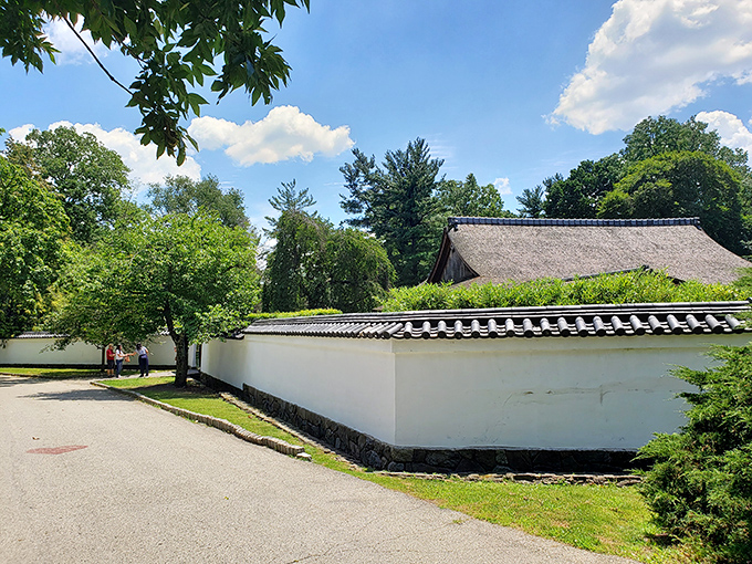 White walls and curved roof tiles announce "you've arrived somewhere special" before you've even stepped through the gate.