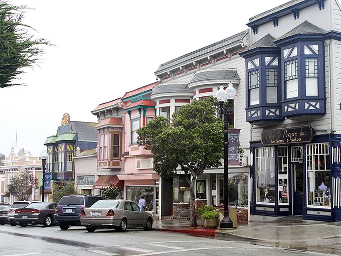 Pacific Grove's colorful Victorian homes perch above the rugged coastline like confections at a seaside bakery.