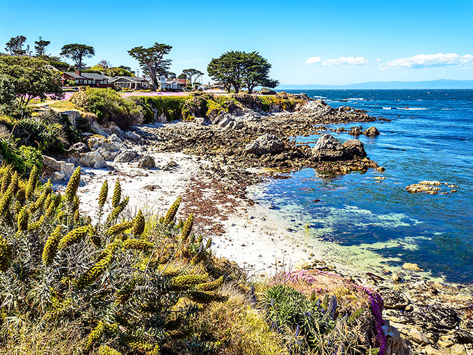The meeting of land and sea creates Pacific Grove's magical setting, where Victorian homes watch over the endless Pacific.