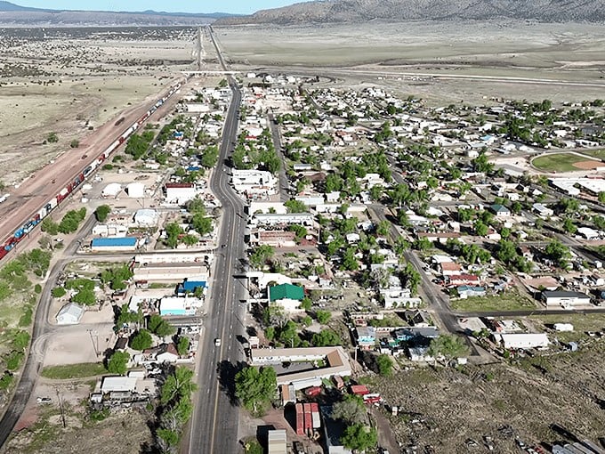 From above, Seligman reveals itself as an oasis of green amid the Arizona desert, a small grid of streets that played an outsized role in American travel history.