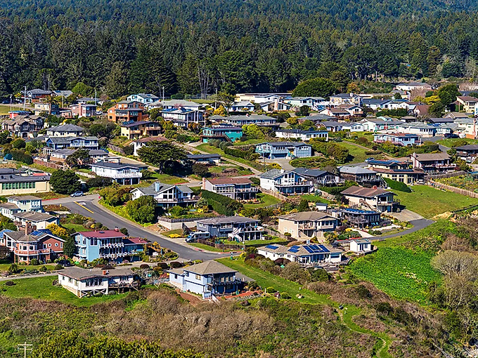 From above, Trinidad reveals itself as a perfect patchwork of homes nestled between forest and sea &ndash; suburban planning with a view.