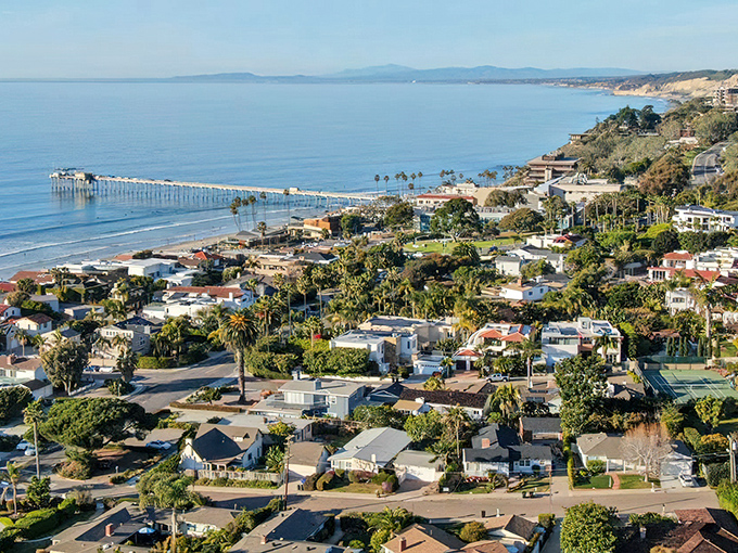From above, Bodega Bay reveals its perfect geography – a place where land and sea arranged themselves just so for our benefit.