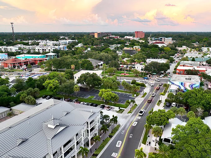 From above, Dunedin reveals itself as a perfect patchwork of green spaces, charming neighborhoods, and just enough urban amenities to keep things interesting.