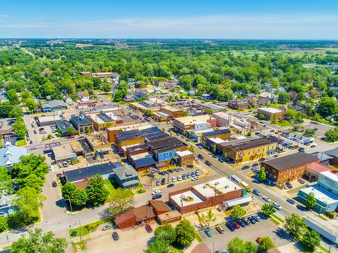 From above, Nappanee reveals itself as a perfect grid of possibility &ndash; each intersection a potential discovery, each building a repository of stories and flavors.