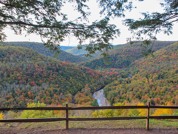 Fall's grand finale at Worlds End overlook. Nature's color palette goes wild in October, painting the canyon in hues that would make an impressionist weep.