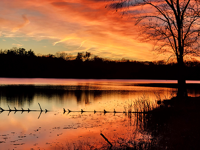 The sun bids farewell in a spectacular blaze of orange and gold, painting the lake with fire and reminding us why we came in the first place.