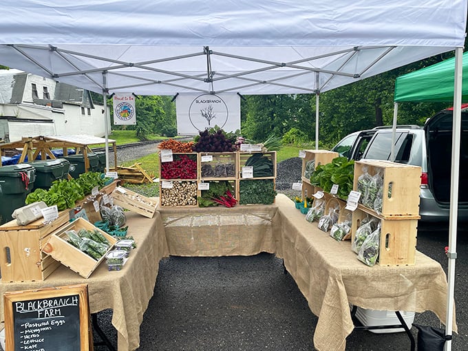 The farmers market showcases nature's bounty at prices that won't harvest your entire Social Security check—farm-to-table without the farm-to-bankruptcy experience.