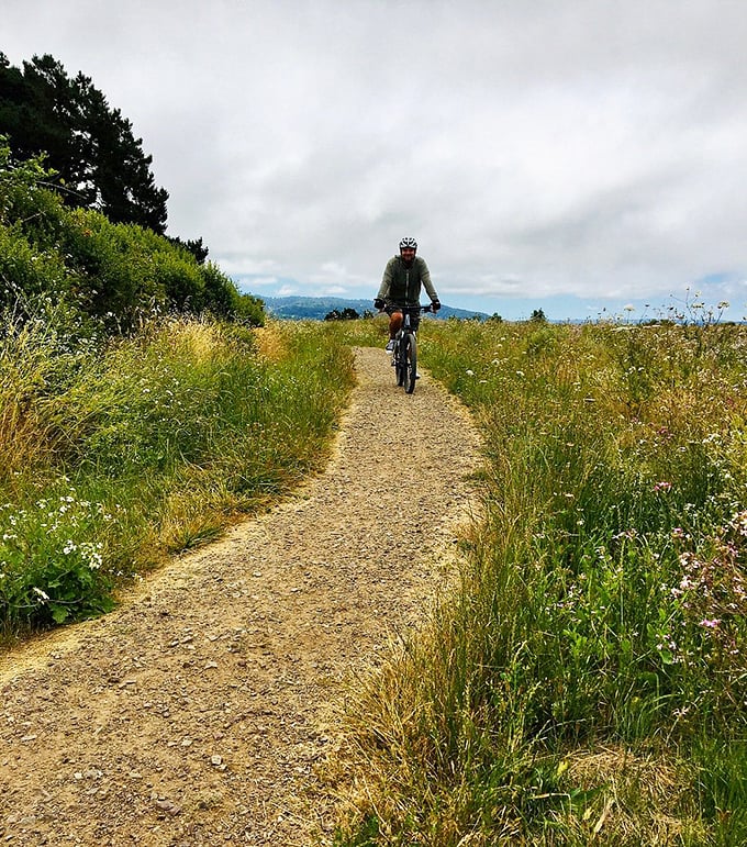 Arcata's trail system offers cyclists miles of scenic terrain. The perfect blend of exercise and sightseeing &ndash; like a spin class with actual views.