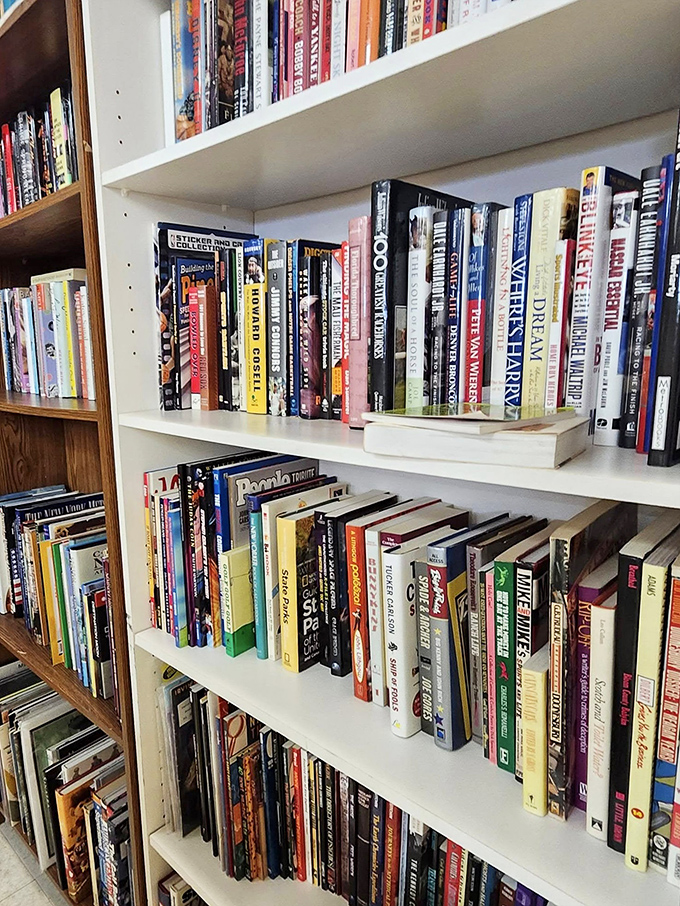 Books stacked with promise&mdash;each spine a doorway to another world. This literary corner could keep a bibliophile happily lost for hours.