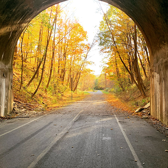 The Great Allegheny Passage tunnel frames nature's artwork in autumn, creating a portal between seasons that no Instagram filter could ever improve upon.