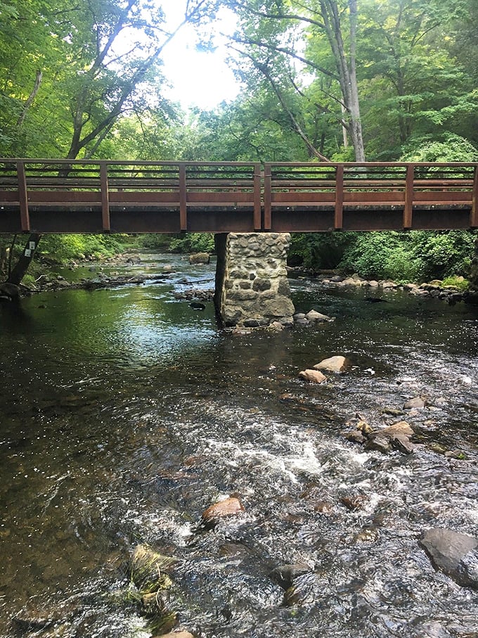 This rustic bridge over troubled water isn't just functional&mdash;it's the perfect spot for contemplating life's big questions or simply watching the river flow beneath your feet.