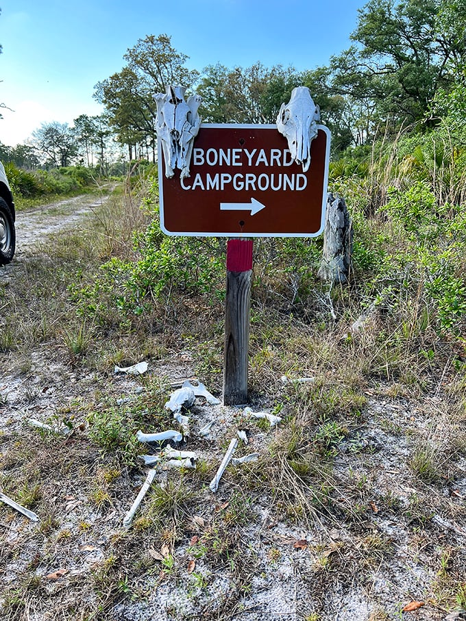 "Boneyard Campground" sounds ominous but promises adventure. With a name straight from a Western movie, this spot beckons the brave.