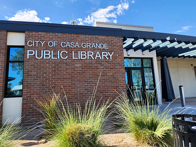The public library: civilization's greatest invention where knowledge, air conditioning, and comfortable seating are all gloriously free.