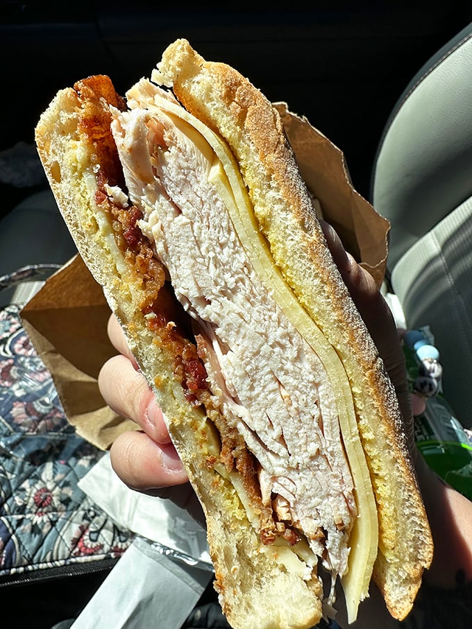 A chicken sandwich so perfectly pressed it deserves its own museum exhibit. Proof that simplicity, when done right, is culinary genius.