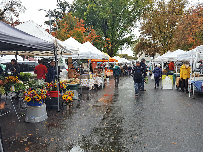 Rain can't dampen spirits at Chico's Farmers Market, where umbrellas create a colorful canopy over seasonal bounty and local crafts.