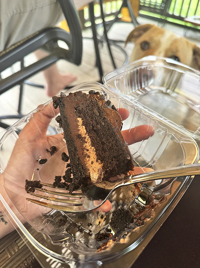 Chocolate cake that laughs in the face of fancy desserts. Rich, moist, and exactly what you want after conquering a mountain of fried chicken.