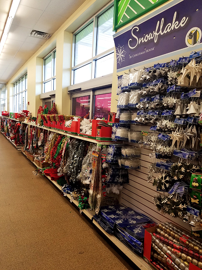 Christmas comes early at Dollar Tree, where holiday magic is democratized and available to everyone, regardless of budget.