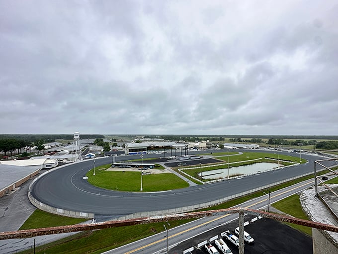 The Harrington Raceway's oval track has witnessed countless photo finishes, offering affordable entertainment that beats the odds of finding similar thrills in pricier locales.