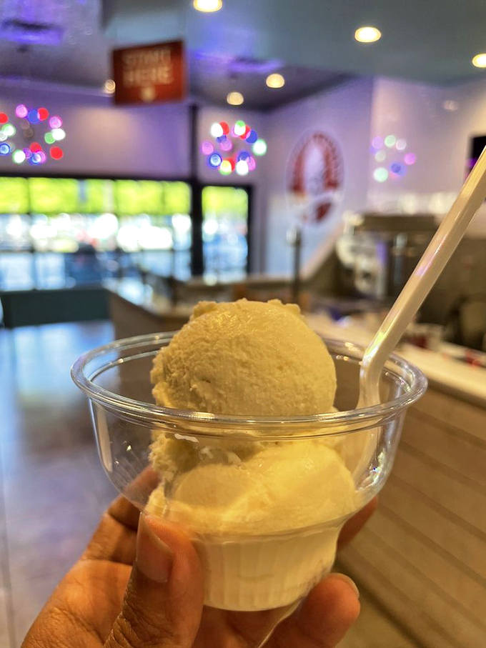 Two perfect scoops of vanilla custard catching the light just so. Sometimes the simplest option is the most profound statement of quality.