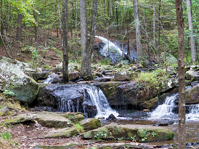Collins Creek Cascade offers nature's version of meditation &ndash; where falling water creates a soundtrack that no meditation app can replicate.