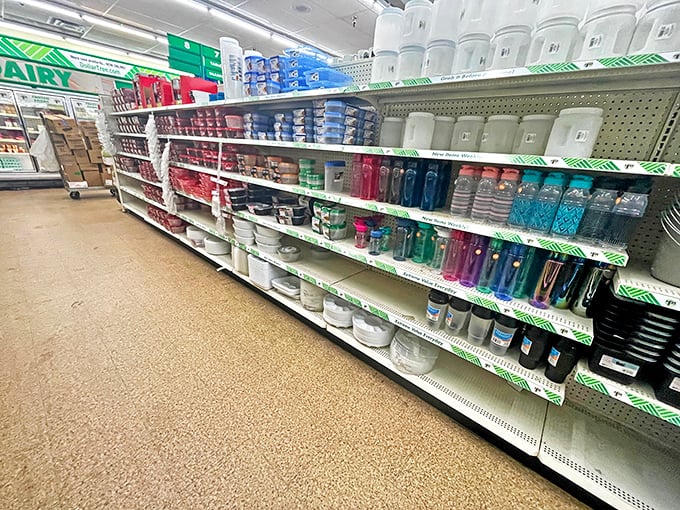 Plastic containers in every size and color&mdash;the organizational tools of champions and hoarders of holiday leftovers alike.