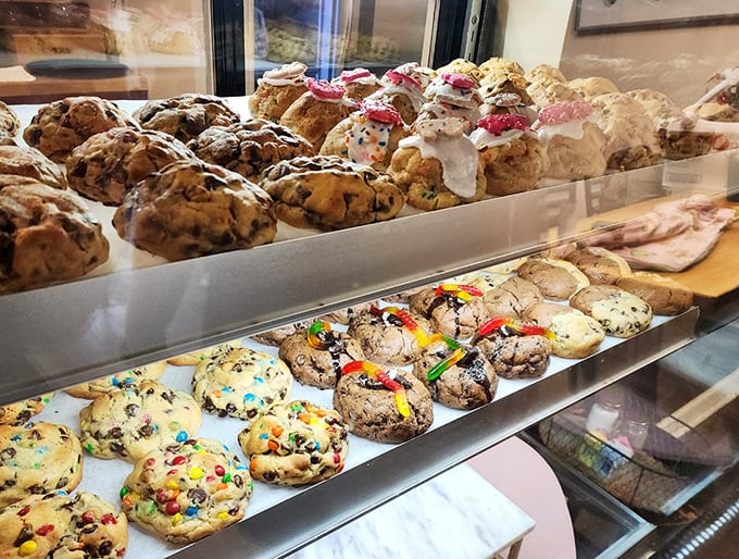 Cookie paradise where sprinkles, chocolate chips, and frosting live in perfect harmony, proving that dessert diversity is the sweetest policy.